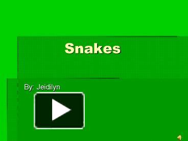 Snakes presentation | free to view