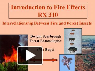 Introduction to Fire Effects presentation | free to view