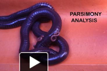 Lecture 3 Introduction to characters and parsimony analysis ...