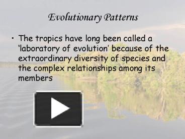 Evolutionary Patterns presentation | free to view