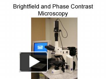 Brightfield and Phase Contrast Microscopy presentation | free to view