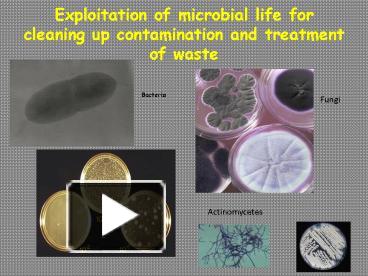 Exploitation of microbial life for cleaning up contamination and ...