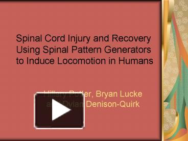 Spinal Cord Injury and Recovery Using Spinal Pattern Generators to ...