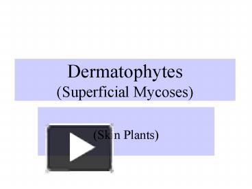 Dermatophytes (Superficial Mycoses) presentation | free to download