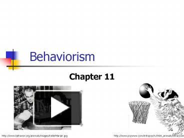 Behaviorism presentation | free to view
