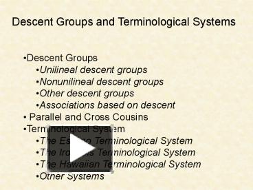 Descent Groups and Terminological Systems presentation | free to view
