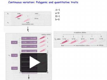 Continuous variation: Polygenic and quantitative traits presentation ...