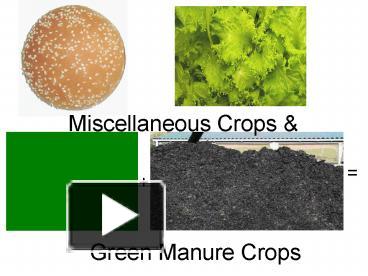 PPT – Miscellaneous Crops PowerPoint presentation | free to view - id ...
