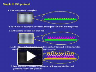 Simple ELISA protocol presentation | free to view