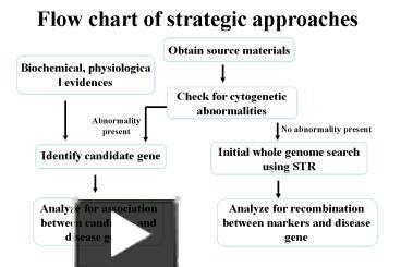 Flow chart of strategic approaches presentation | free to view