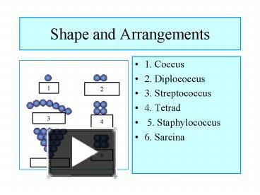 PPT – Shape and Arrangements PowerPoint presentation | free to view ...