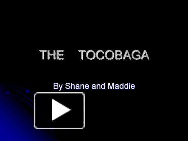PPT – THE TOCOBAGA PowerPoint presentation | free to view - id: 262d65 ...