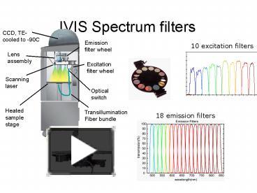PPT – IVIS Spectrum filters PowerPoint presentation | free to view - id ...