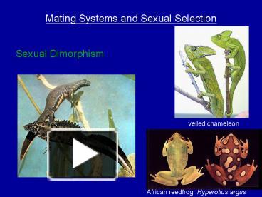 Mating Systems and Sexual Selection presentation | free to view