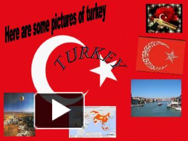 PPT – Turkey PowerPoint presentation | free to view - id: 264856-ZDc1Z