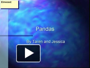 PPT – Pandas PowerPoint presentation | free to view - id: 26504-YWYxM