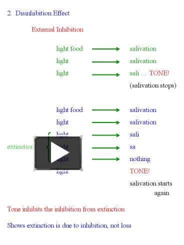 2. Disinhibition Effect presentation | free to view