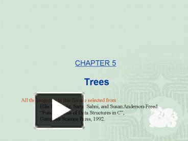 PPT – CHAPTER 5 Trees PowerPoint presentation | free to view - id ...