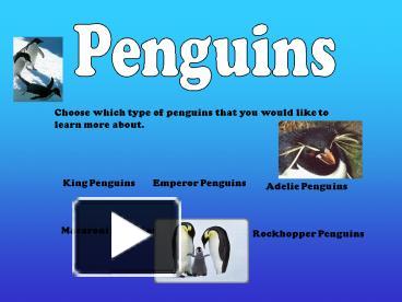 PPT – Penguins PowerPoint presentation | free to view - id: 267b5-YTYyY