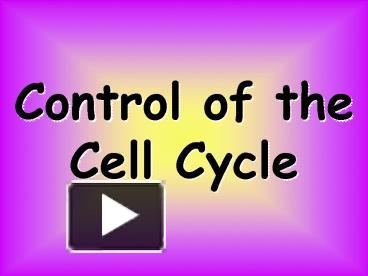 PPT – Control of the Cell Cycle PowerPoint presentation | free to view ...