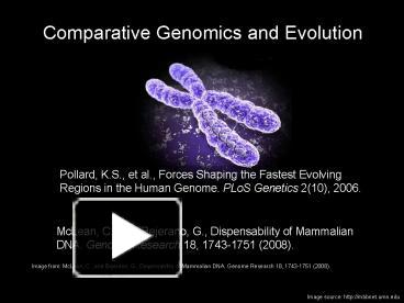 Comparative Genomics and Evolution presentation | free to view