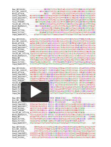 Appendix' presentation | free to download