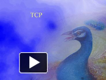 PPT – TCP PowerPoint presentation | free to view - id: 272edc-YWI2Y