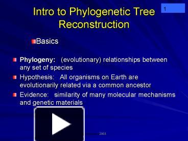 PPT – Intro to Phylogenetic Tree Reconstruction PowerPoint presentation ...