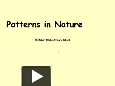 PPT – Patterns in Nature PowerPoint presentation | free to view - id ...
