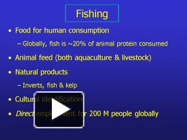 Fishing presentation | free to view