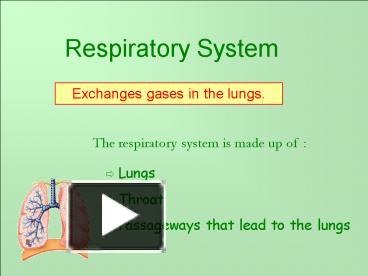 PPT – Respiratory System PowerPoint presentation | free to view - id ...