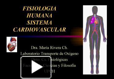 FISIOLOGIA HUMANA SISTEMA CARDIOVASCULAR presentation | free to view
