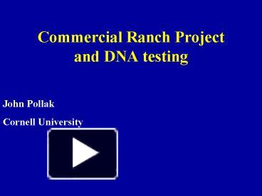 PPT – Commercial Ranch Project and DNA testing PowerPoint presentation ...