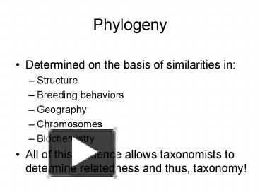 PPT – Phylogeny PowerPoint presentation | free to view - id: 27ee28-NTdjO