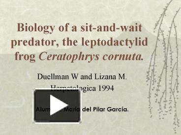 PPT – Biology of a sitandwait predator, the leptodactylid frog ...