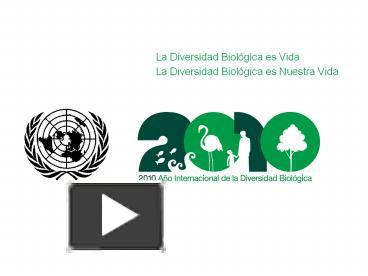 PPT – La Diversidad Biol PowerPoint presentation | free to download ...