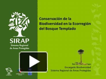 PPT – TITULO DE LA PRESENTACION PowerPoint presentation | free to view ...