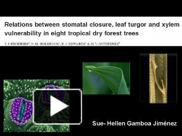 Sue Hellen Gamboa Jimnez presentation | free to view