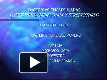 BACTERIAS ENCAPSULADAS LEPTOTHRIX, CRENOTHRIX Y STREPTOTHRIX ...