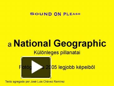 PPT – a National Geographic PowerPoint presentation | free to view - id ...