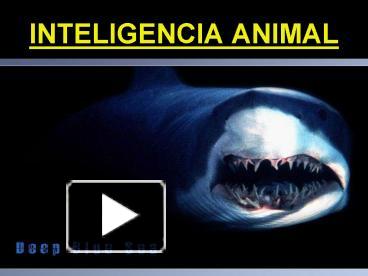 INTELIGENCIA ANIMAL presentation | free to view