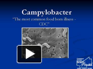 Campylobacter presentation | free to view