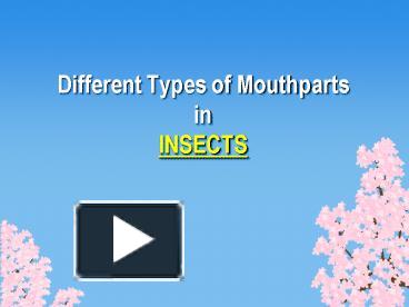 Different Types of Mouthparts in INSECTS presentation | free to view