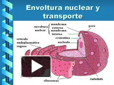 Envoltura nuclear y transporte presentation | free to view