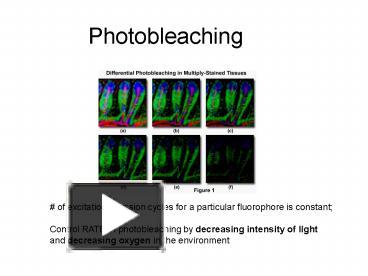PPT – Photobleaching PowerPoint presentation | free to download - id ...