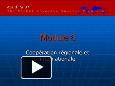 PPT – Module 6 PowerPoint presentation | free to view - id: 298cca-ZDc1Z