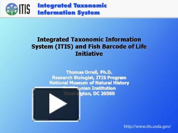 PPT – Thomas Orrell, Ph.D. PowerPoint presentation | free to view - id ...