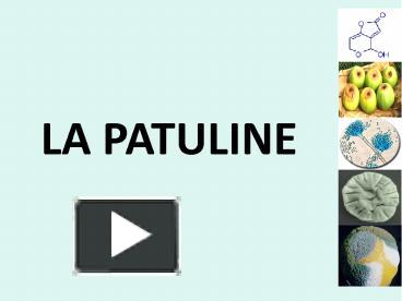 LA PATULINE presentation | free to download