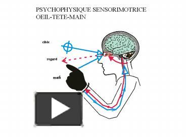 cible presentation | free to view