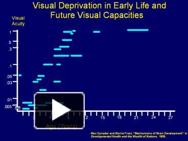 PPT – Visual Deprivation in Early Life and PowerPoint presentation ...